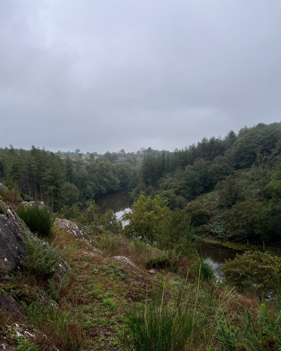 Les 10 plus belles forêts de Bretagne - Le Blog par Breizh Club